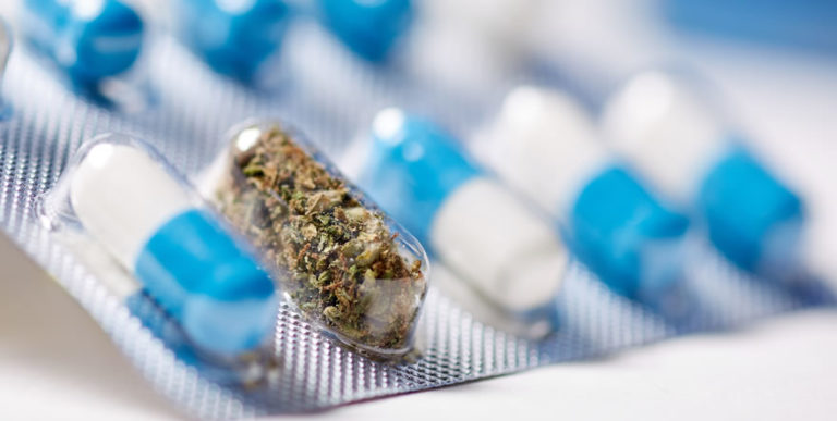 Therapeutic Uses and Effects of Marijuana - Beal University